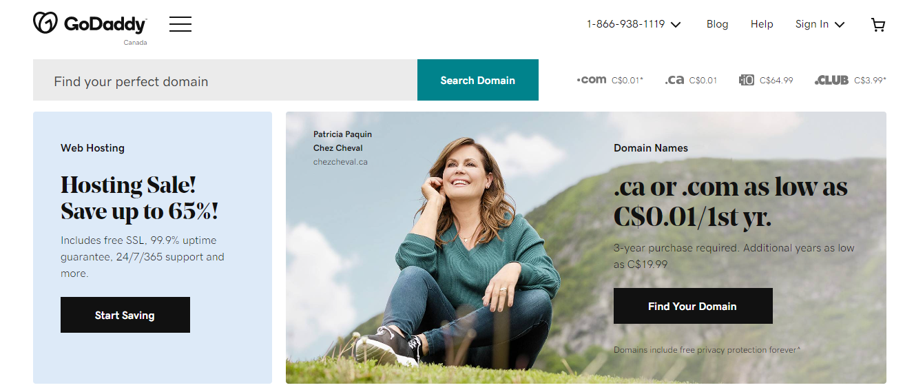 GoDaddy Review: A Complete Breakdown Of The Company - DiziMedia